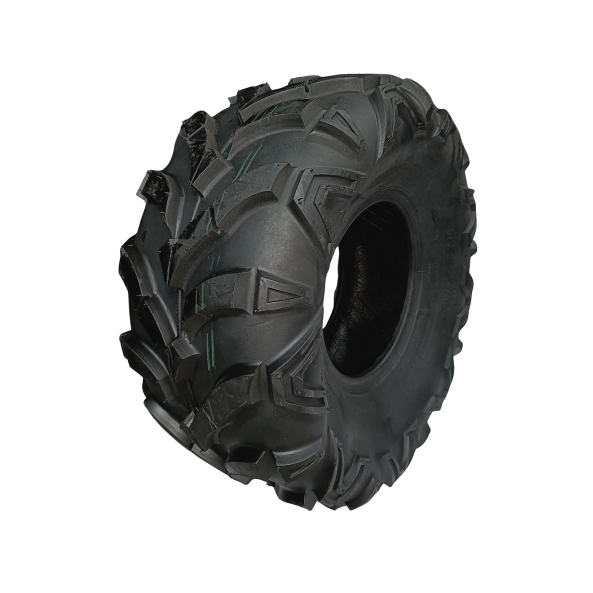 WDT P341 – MUEVEMOTO